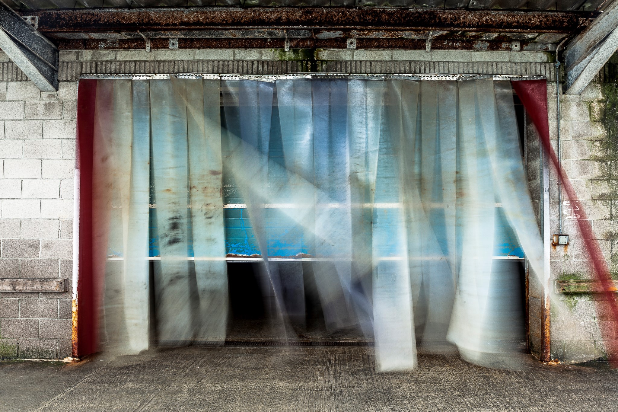 rich clark images – Giclée Printing – Artwork Scanning – Print Sales