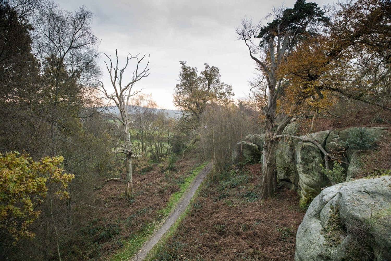 Eridge Rocks Archives - rich clark images