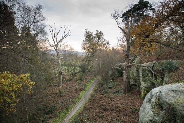 Eridge Rocks Archives - rich clark images