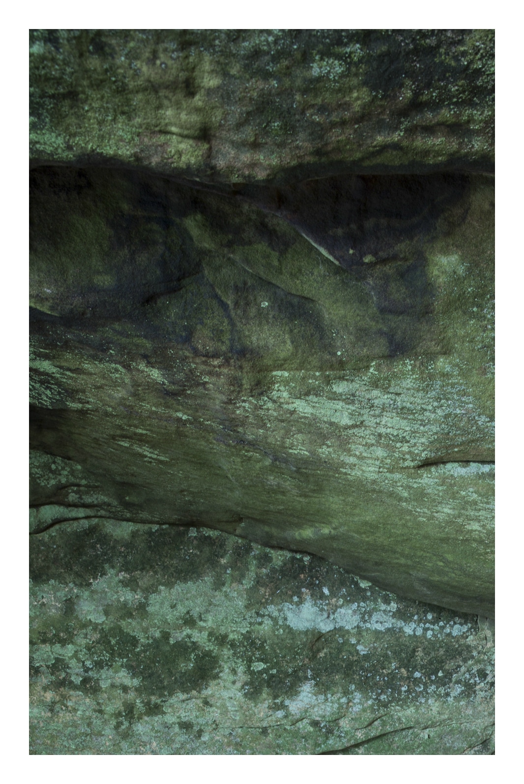 Eridge Rocks – Texture – rich clark images