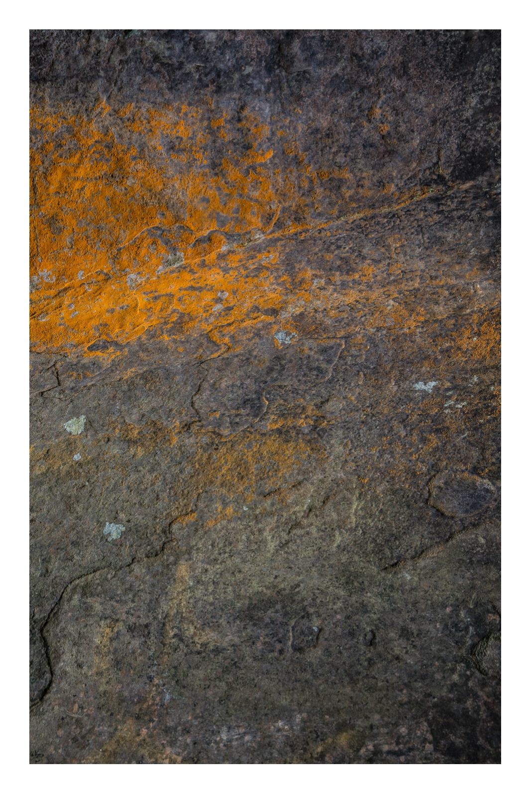 Eridge Rocks -Texture – rich clark images