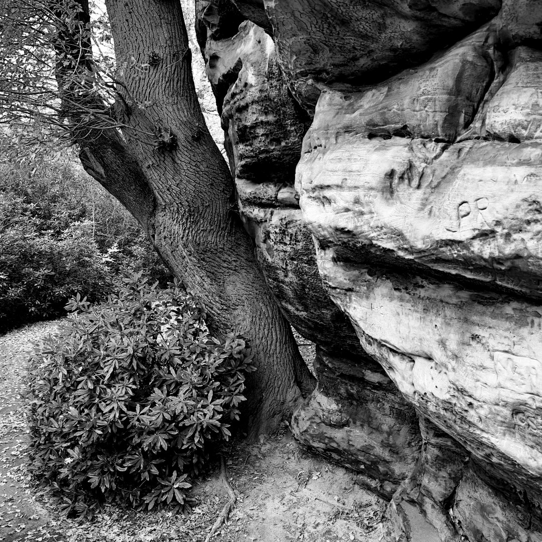 Photographing High Rocks