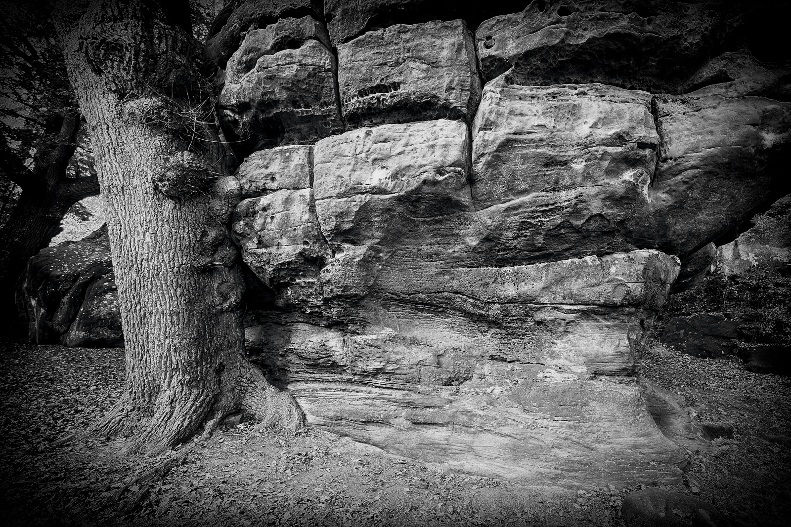 Photographing High Rocks