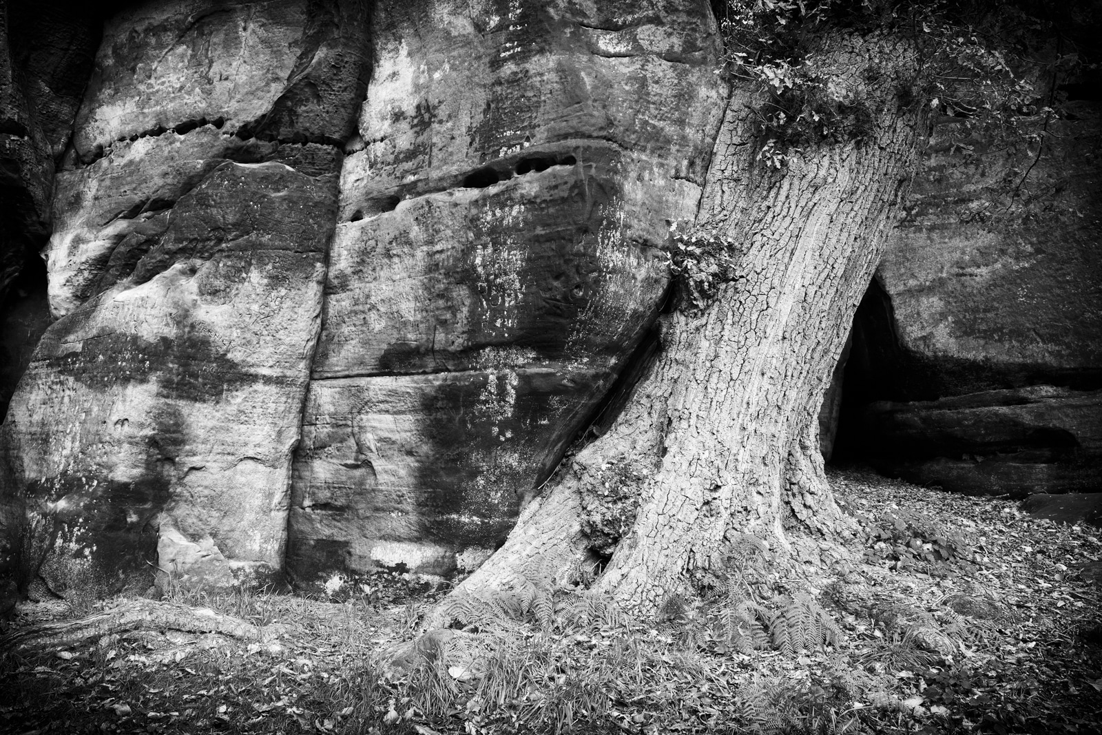 Photographing High Rocks
