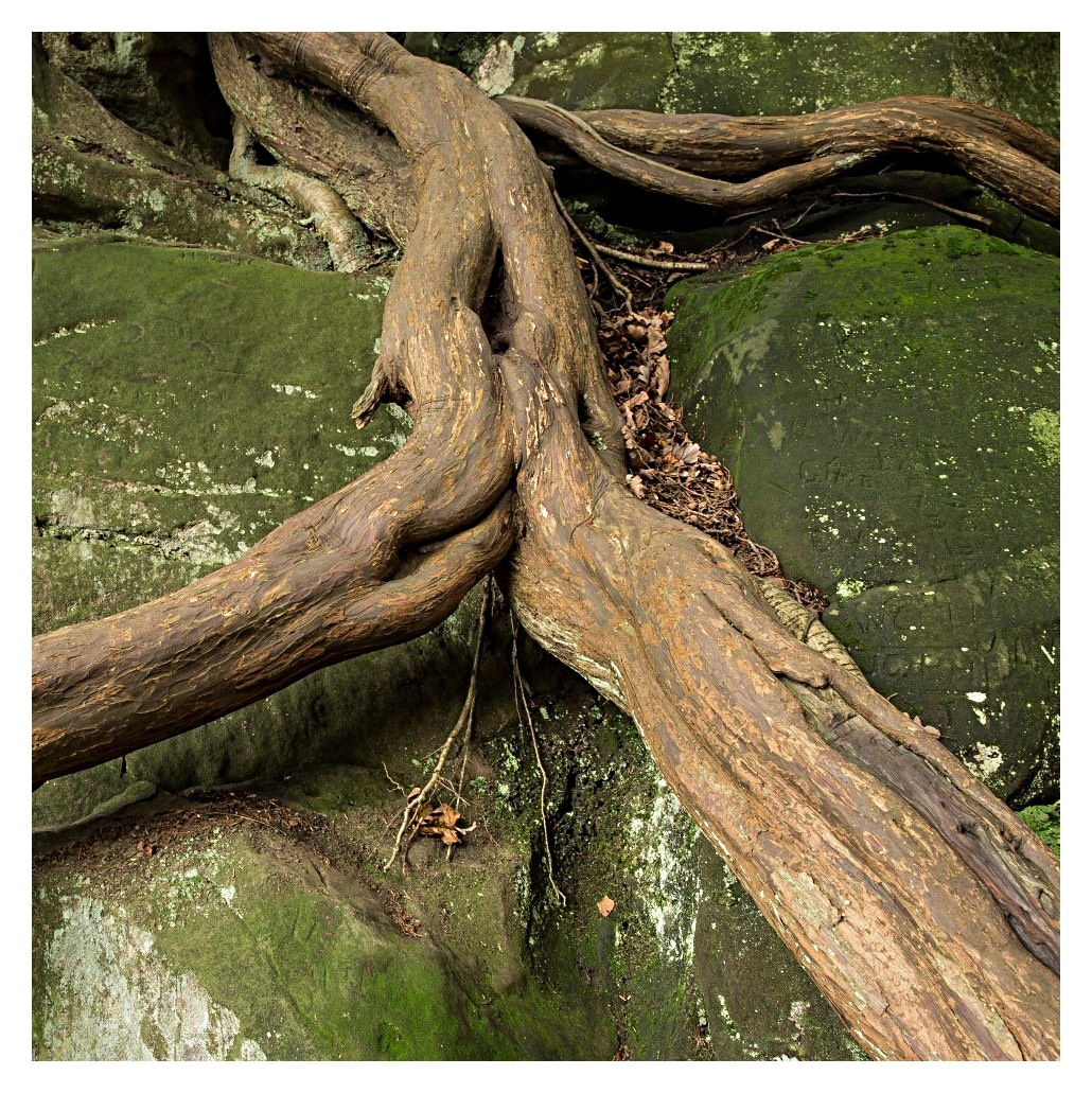 Photographing High Rocks