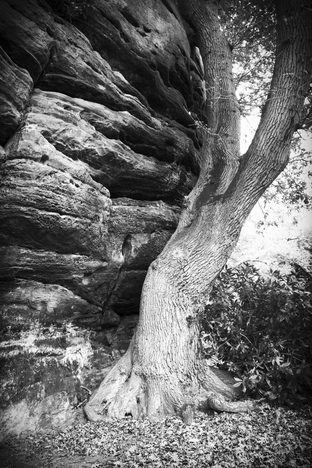 Photographing High Rocks