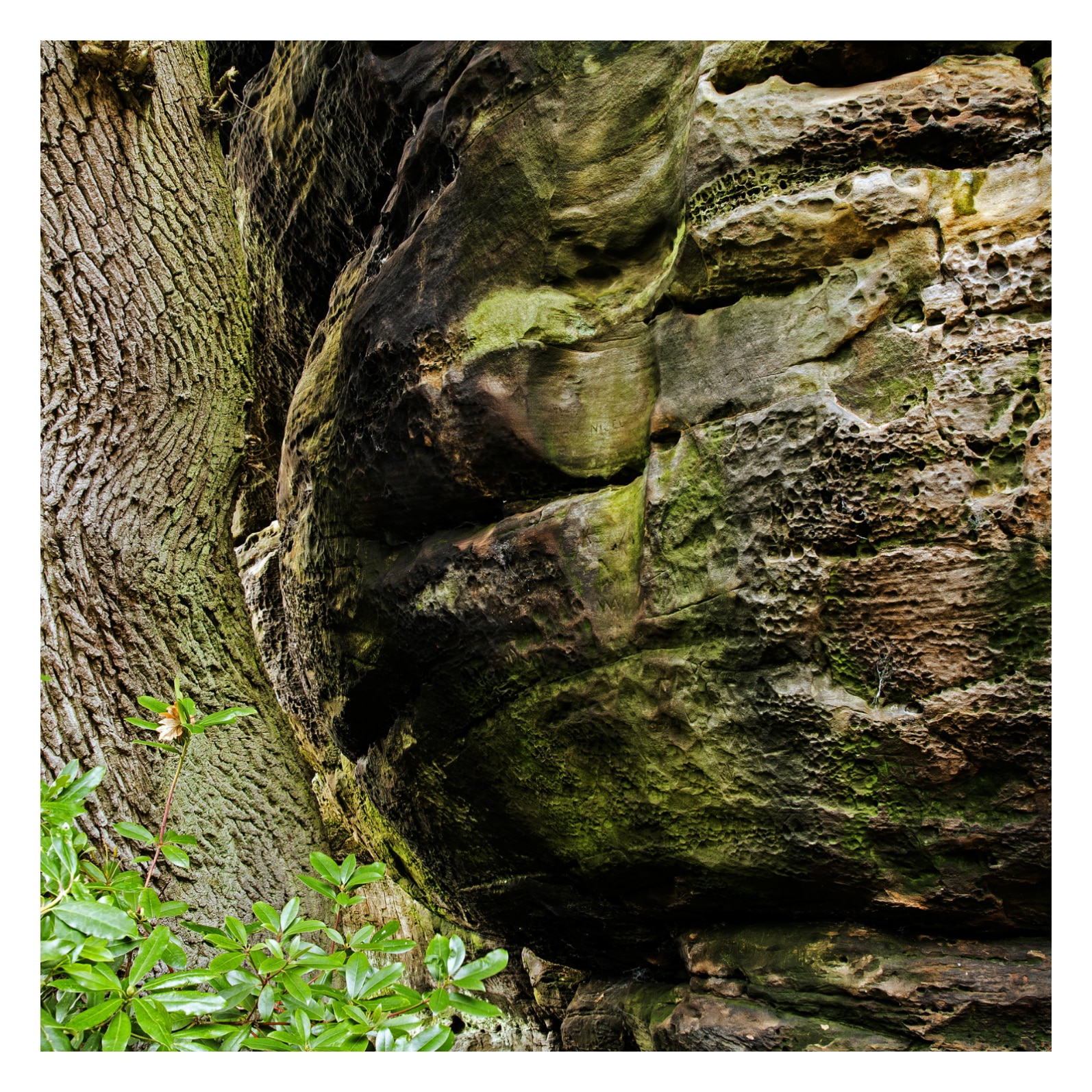 Photographing High Rocks